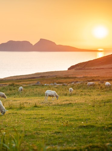 Discovery Kerry | Places To Visit In Kerry | 4* Parknasilla Resort